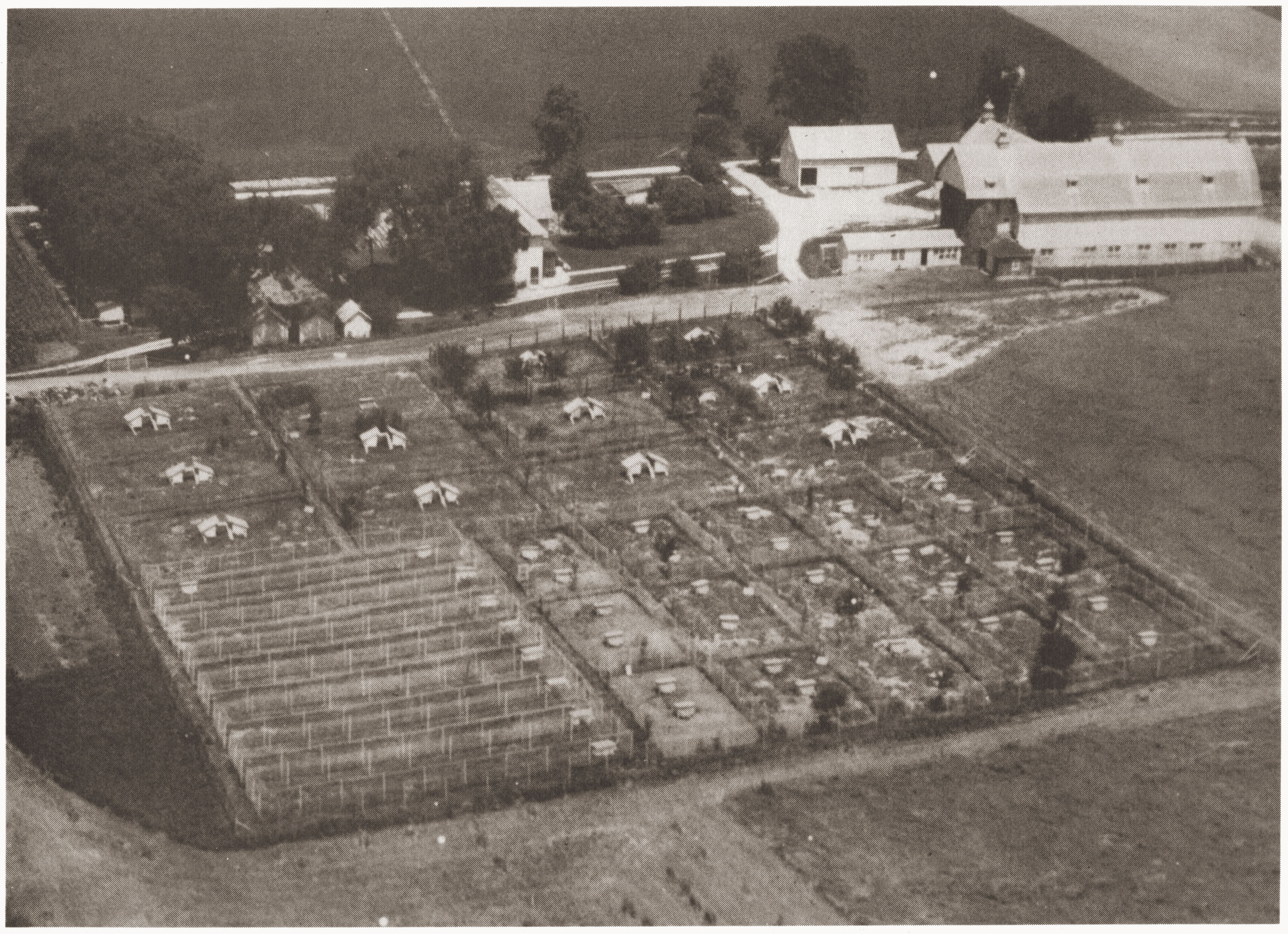 By the Minutes: Of Electricity, Radio and Foxes